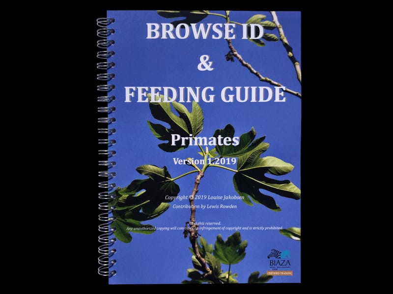 Browse Poster - Fruit Bat & Callitrichid Flower Booklet