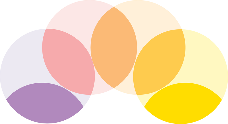 ICAN - The Vona du Toit Model of Creative Ability (VdTMoCA)