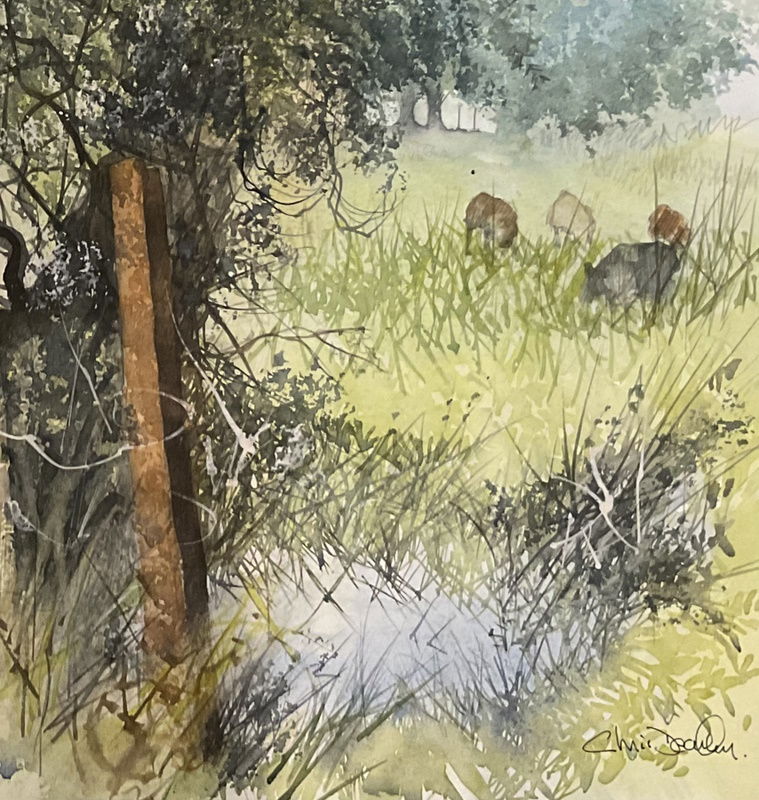 "The Hedgerow" - GALLERY 1608