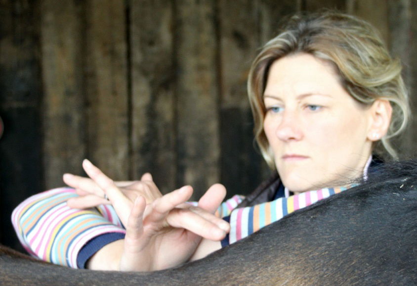What Does A Treatment Consist Of Flex Animal Therapy