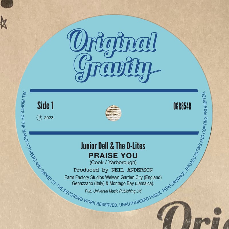 VINYL RELEASES - Original Gravity