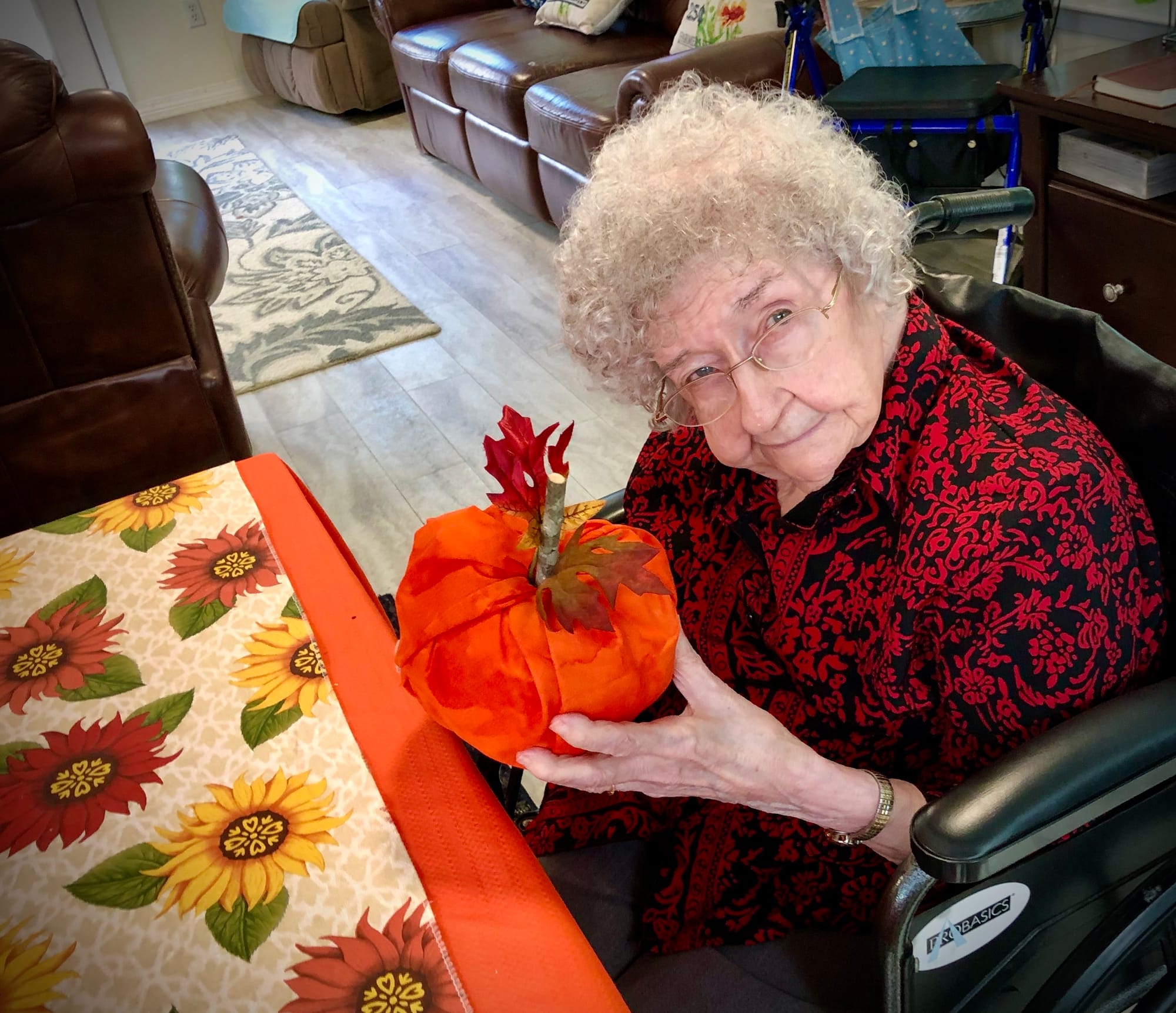 Timeless Grace Residential Care Home