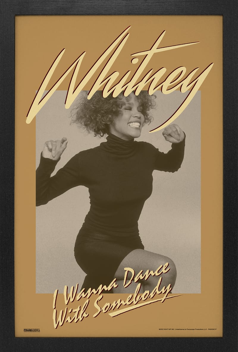 Whitney Houston - Dance Excited