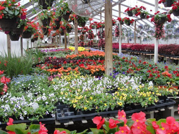 Garden Center Gallery - Schultz Garden Center