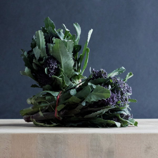 Roots Recommended - Roots