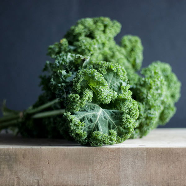 Roots Recommended - Roots