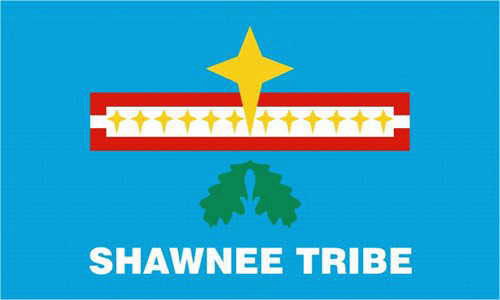 SOWEGE (GLIDING SWAN) WIFE OF JACOB CASTLE - CHUCK & JANE'S FAMILY HISTORY