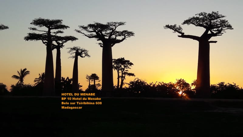 Hotel du Menabe Madagascar