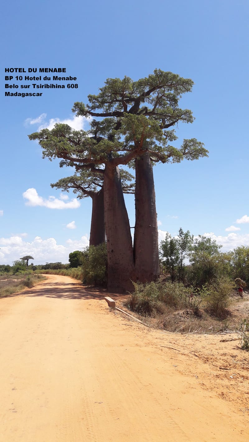 Hotel du Menabe Madagascar