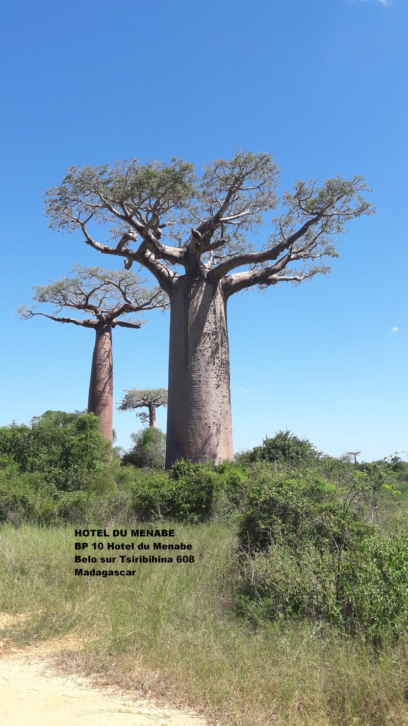 Hotel du Menabe Madagascar