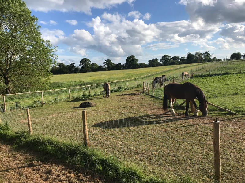 Unsurfaced Track System? - Abbotts View Livery
