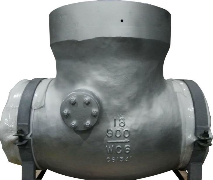 Pressure seal tiliting check valve | FCT Valve