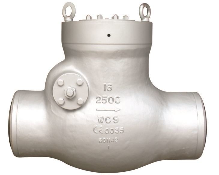 Swing check valve | FCT Valve