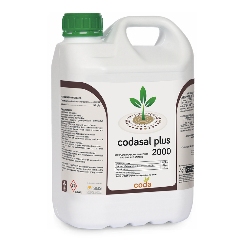 codasal plus 2000 - Radicle Group