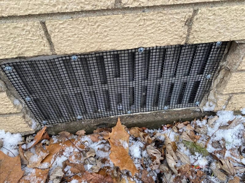 Rodent Exclusion - Mom & Pop Pest Control Services