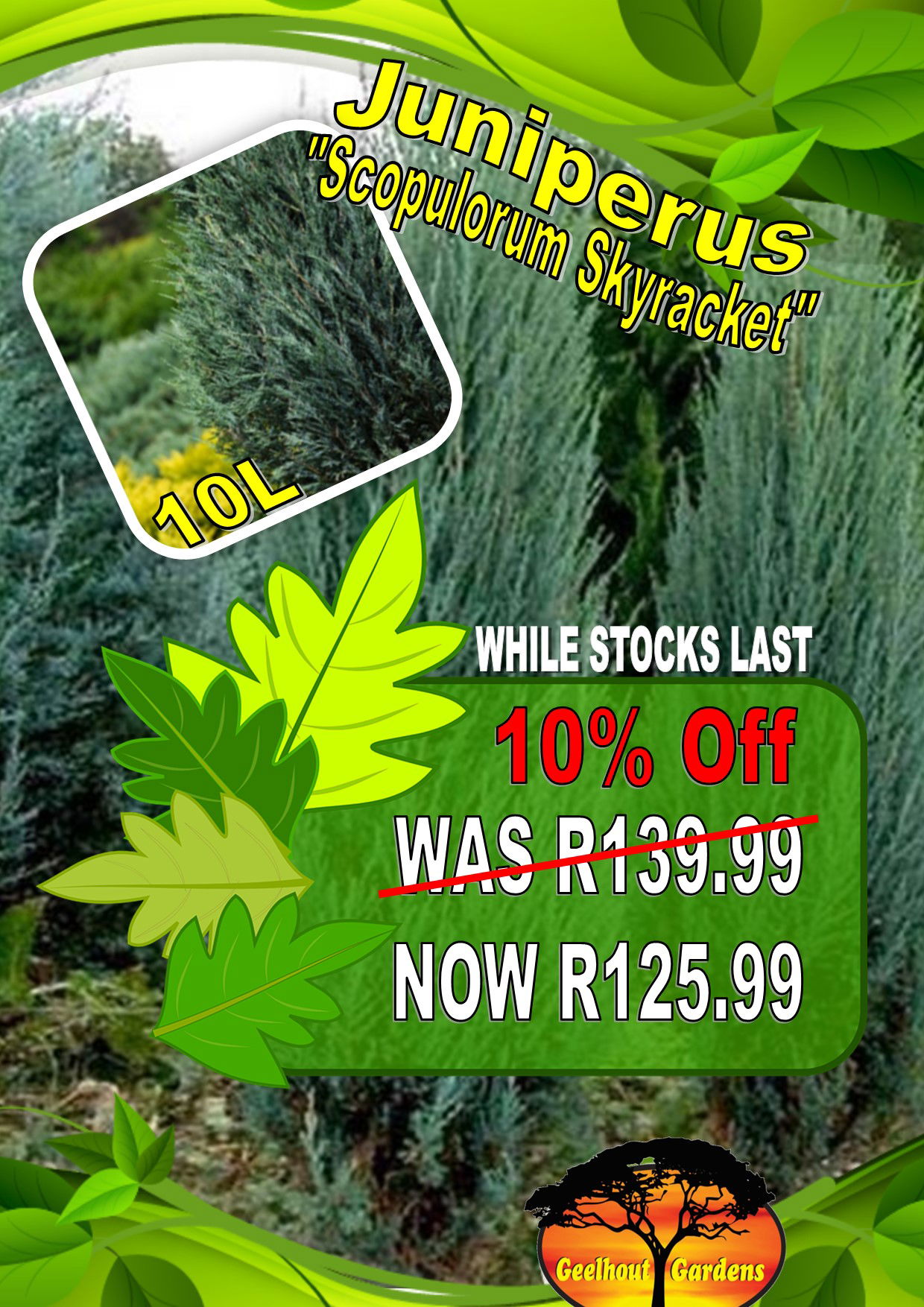 GEELHOUT GARDENS/HOME