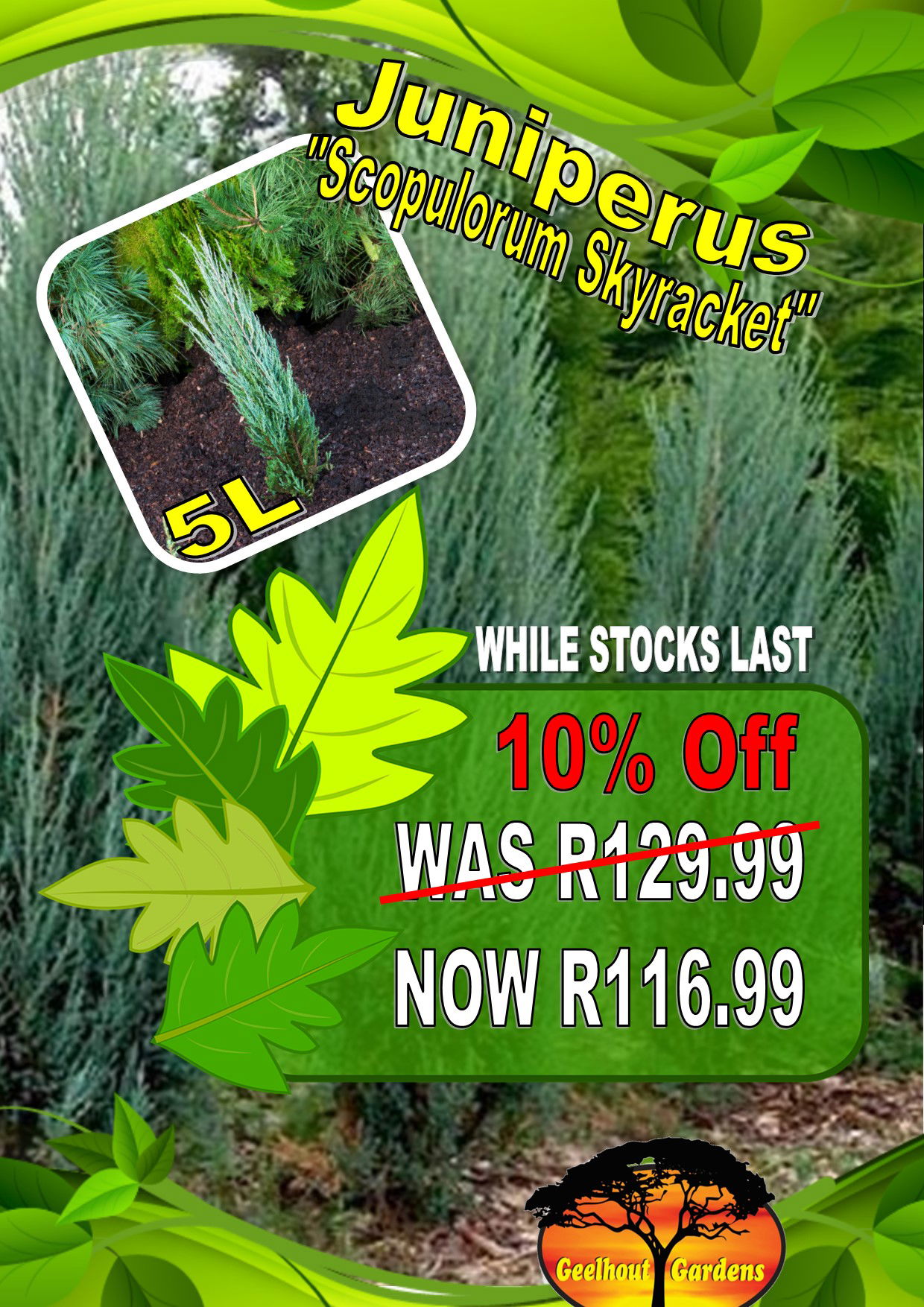 GEELHOUT GARDENS/HOME