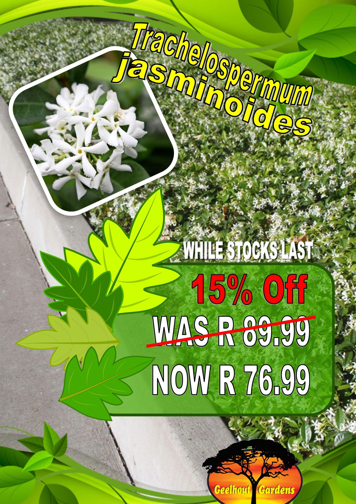 GEELHOUT GARDENS/HOME