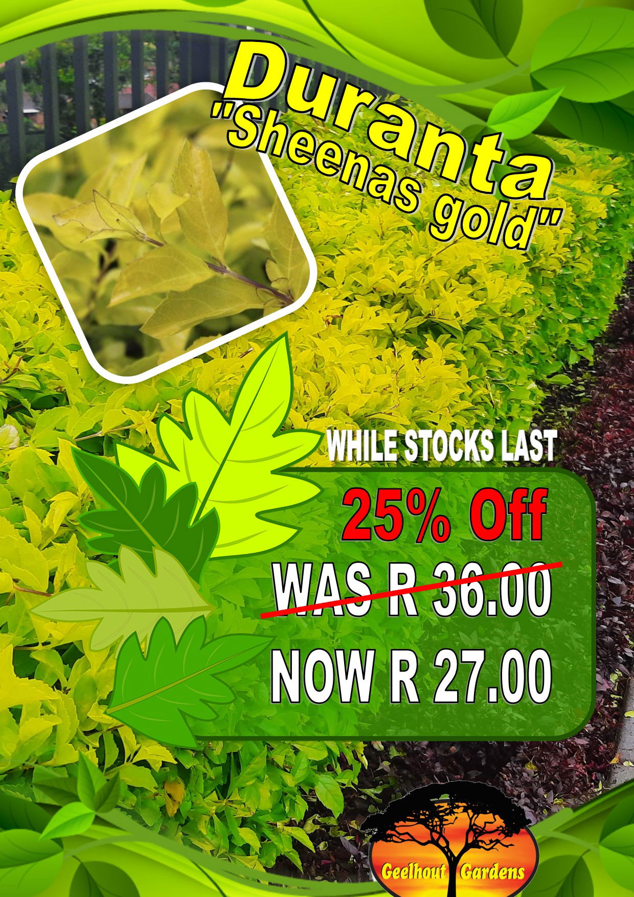 GEELHOUT GARDENS/HOME