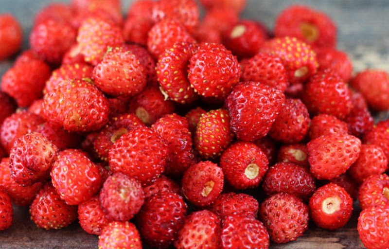 Les fraises des bois - floflolepatissier