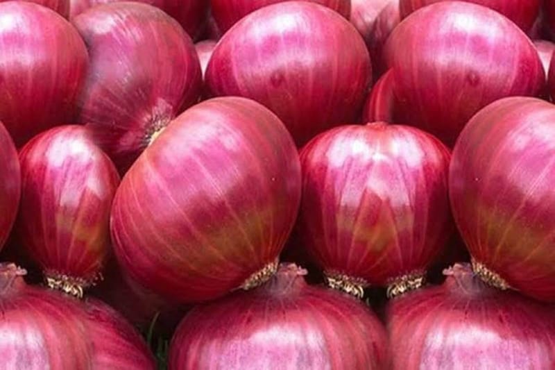 MALAYSIA VEGETABLES - FARM TO HOME