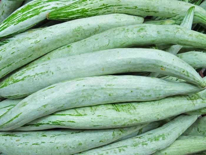 MALAYSIA VEGETABLES - FARM TO HOME