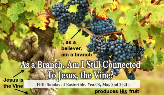 As a Branch, Am I Still Connected To Jesus, the Vine? - Be Happy Live ...