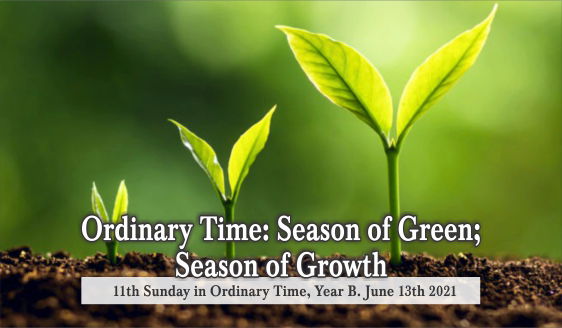 Ordinary Time: Season of Green, Season of Growth. - Be Happy Live Positive