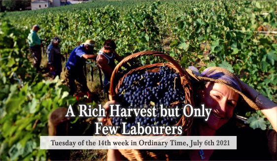 A Rich Harvest but Only Few Labourers - Be Happy Live Positive