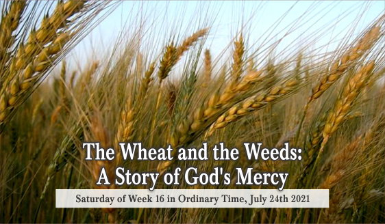 The Wheat and the Weeds: A Story of God’s Mercy - Be Happy Live Positive