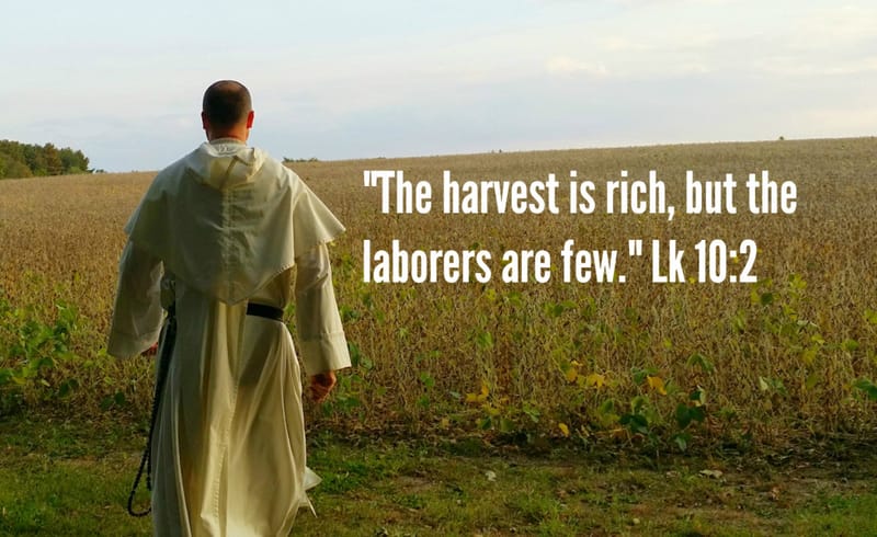 A Rich Harvest But Only a Few Labourers - Be Happy Live Positive