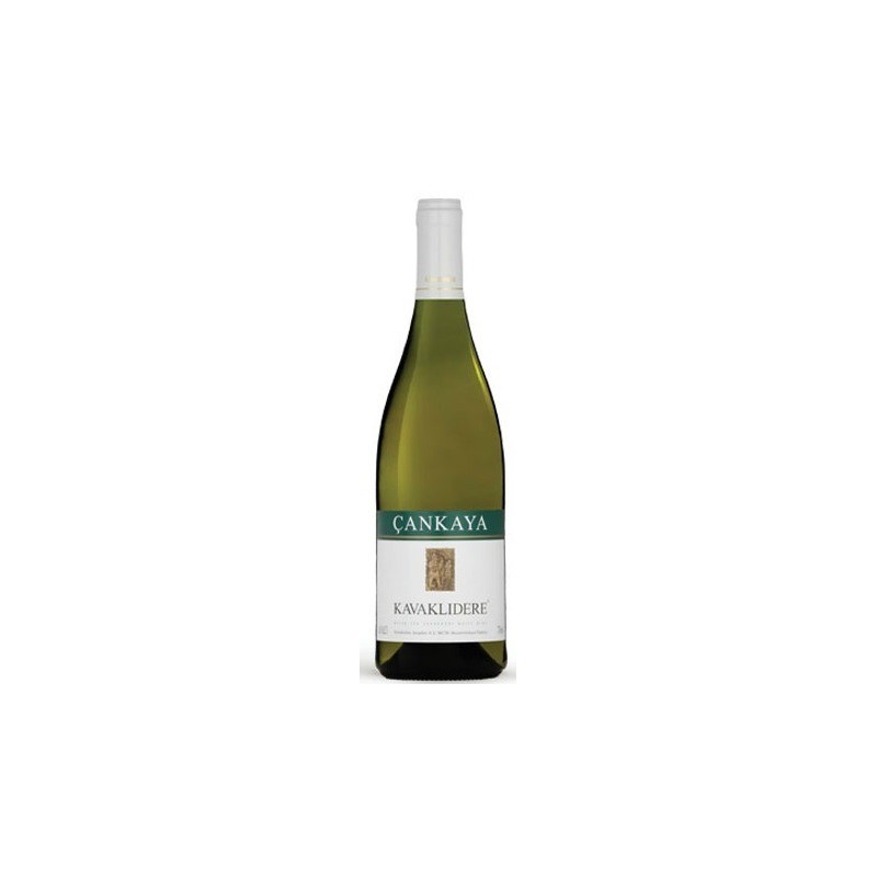 wine menu - PASHA