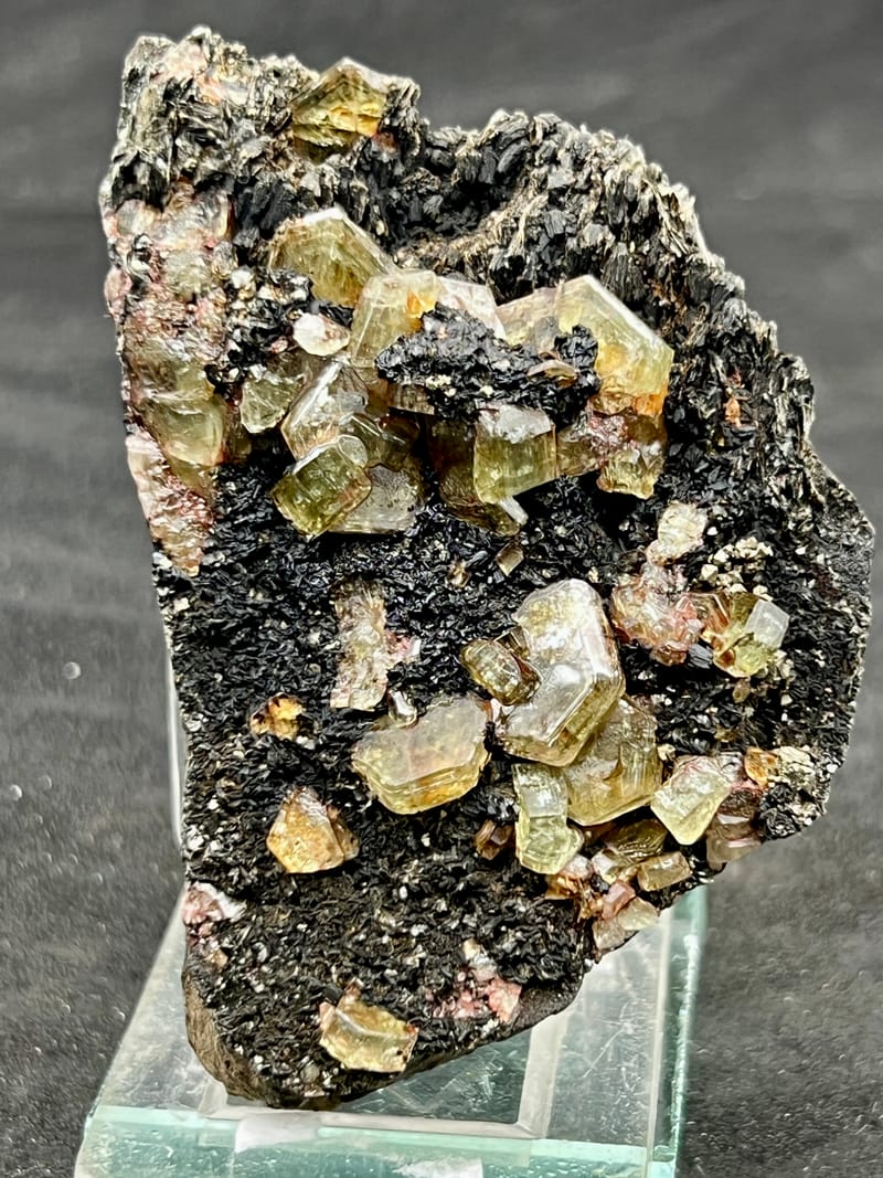 APATITO CON SIDERITA (PANASQUEIRA, PORTUGAL)