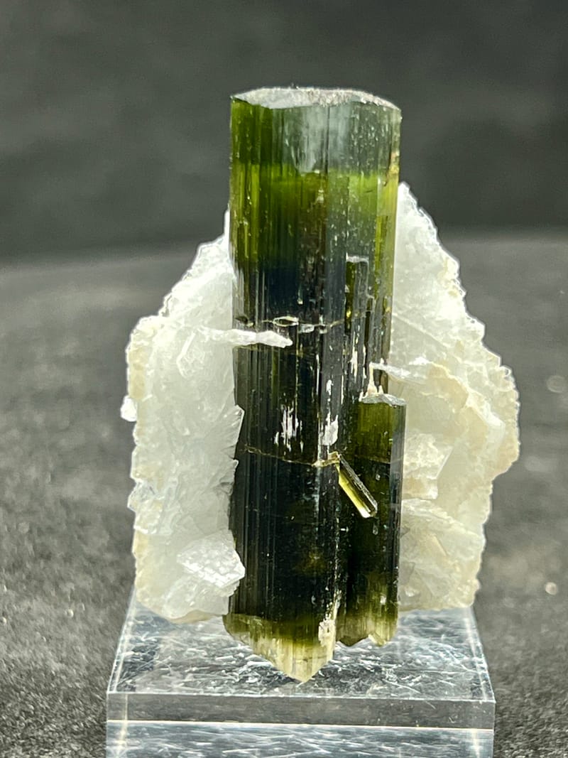 TURMALINA ELBAITA CON ALBITA (SHIGAR, PAKISTAN)