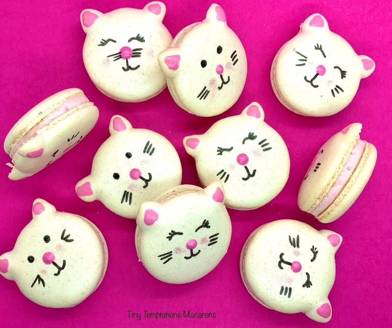 Specialty macarons (characters, animals) - Tiny Temptations Macarons