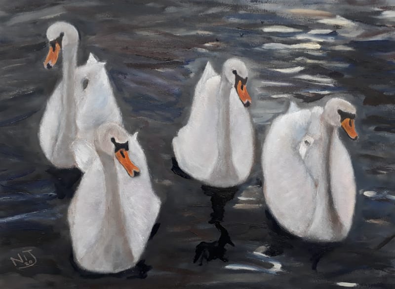 Four Swans: Victoria Park - Nigel Johnson - Nij - Fine Art