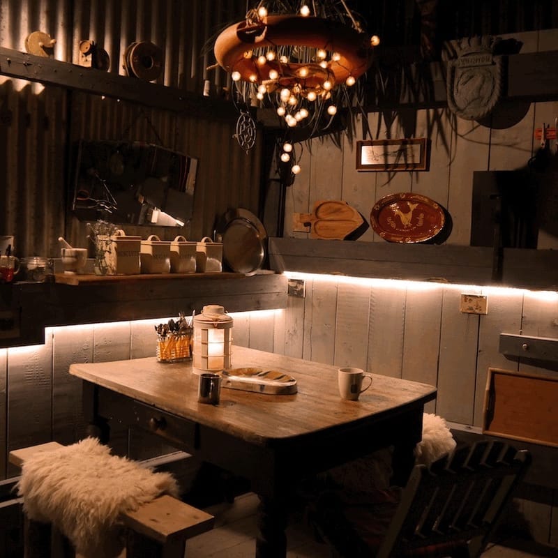 Ark Kitchen - Rewilding Futures