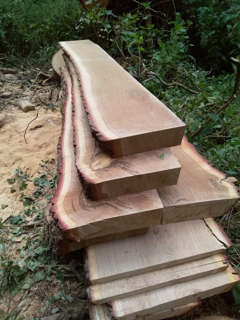 Timber Milling - Treetop to Workshop