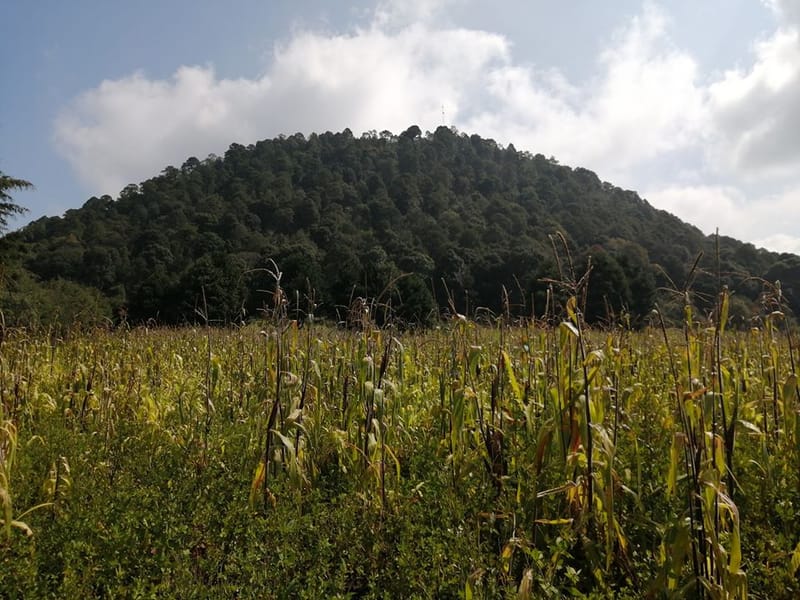 Volcán Xitle CdMx - Explorando México