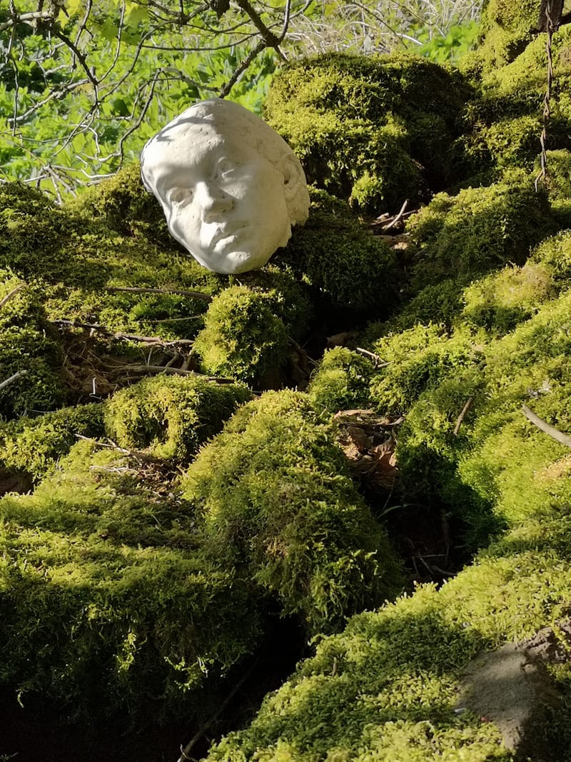 Sally Rickett Artist