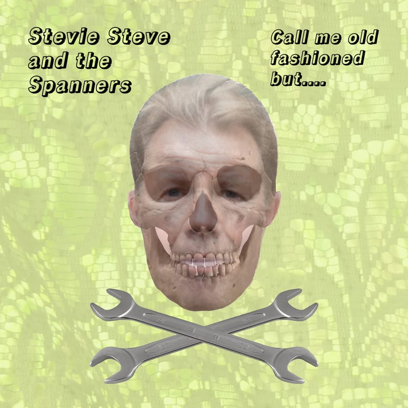 Stevie Steve and the Spanners - Whisk Records