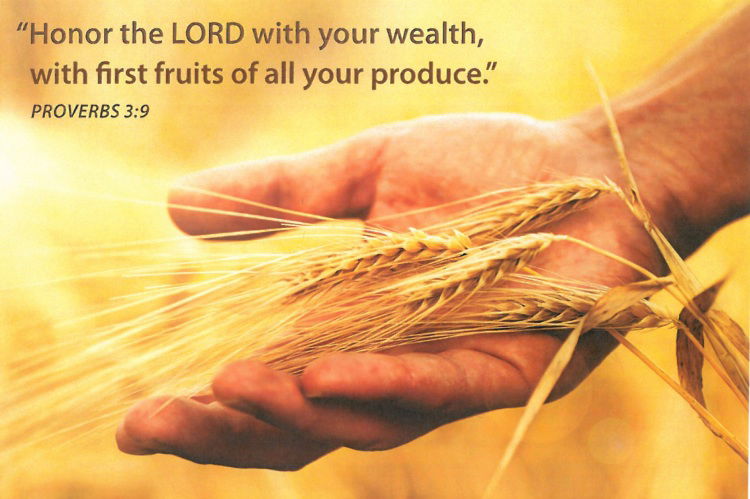 Blog 32: Modern Day First-Fruits - Bloggin' Robin