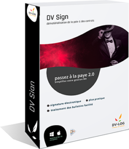 Dv-log, Editeur de logiciels spécialisés spectacle