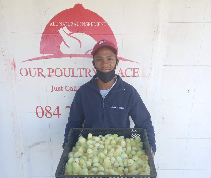 Ryan The Broiler Chicken farmer in Montague