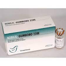 VACCINES - our poultry place