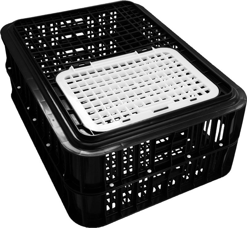 POULTRY CRATES - our poultry place