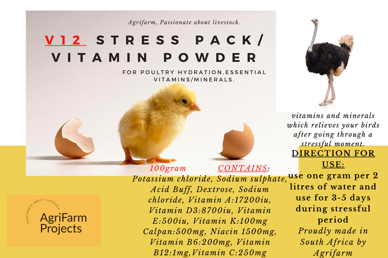 V12 Broiler Stress pack and Vitamin Electrolyte (100gm)