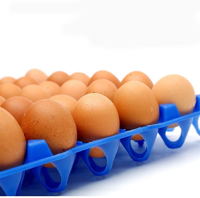 egg trays