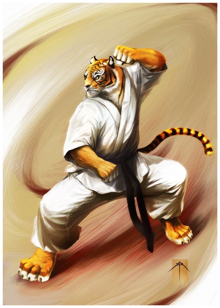 Shotokan Karate Dojo