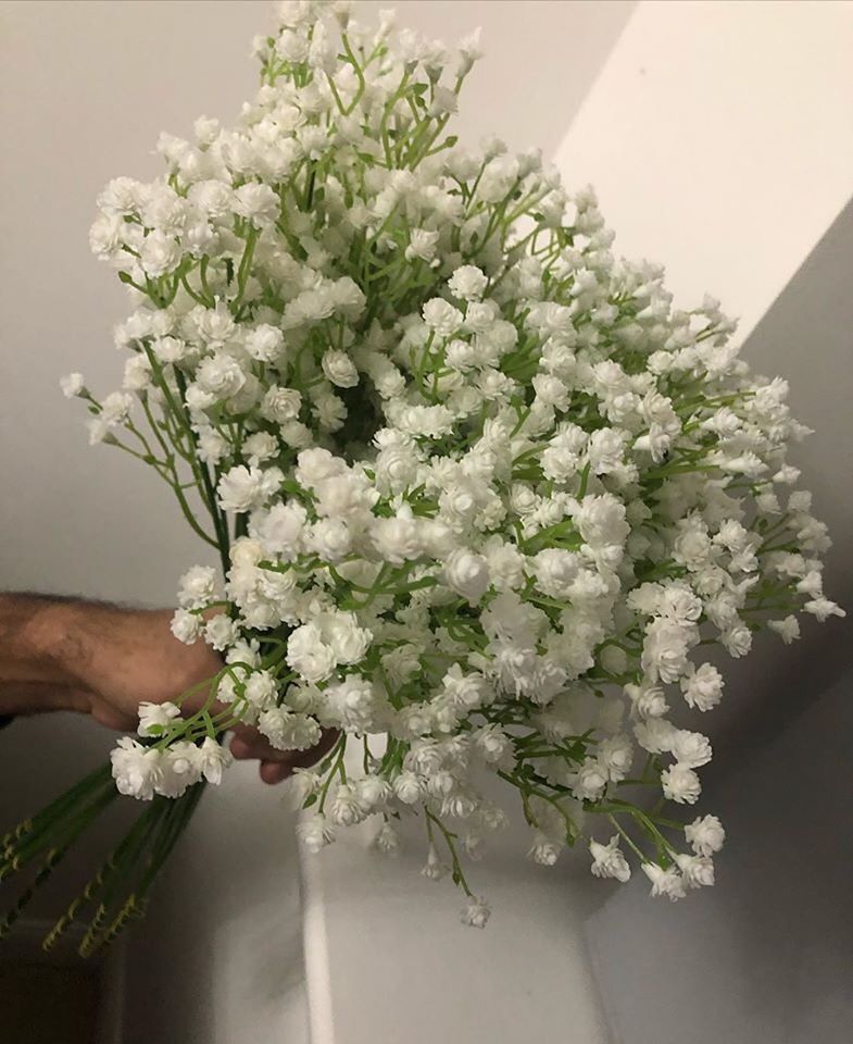 GYPSOPHILA